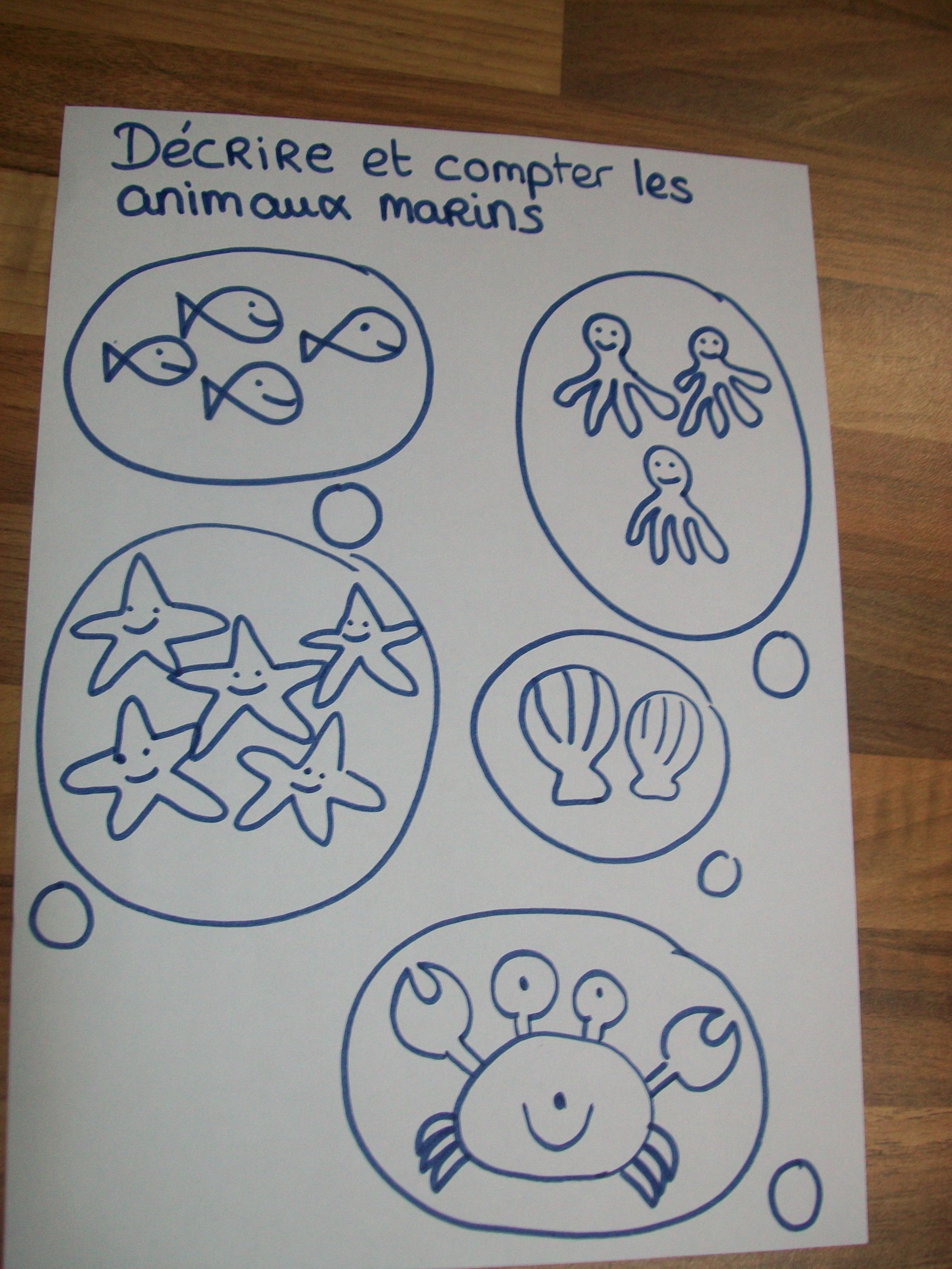 theme mer pour periscolaire